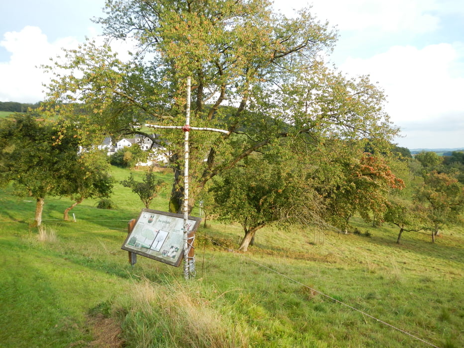 Mountainbike: Algenrodt - Mackenrodt - Siesbach - Hettenrodt (Tour 139628)
