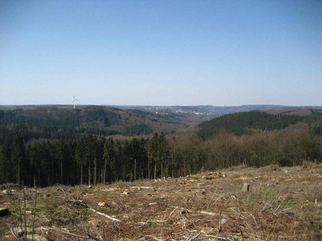 Wandern: Radevormwald nach Remlingrade (Tour 29842)