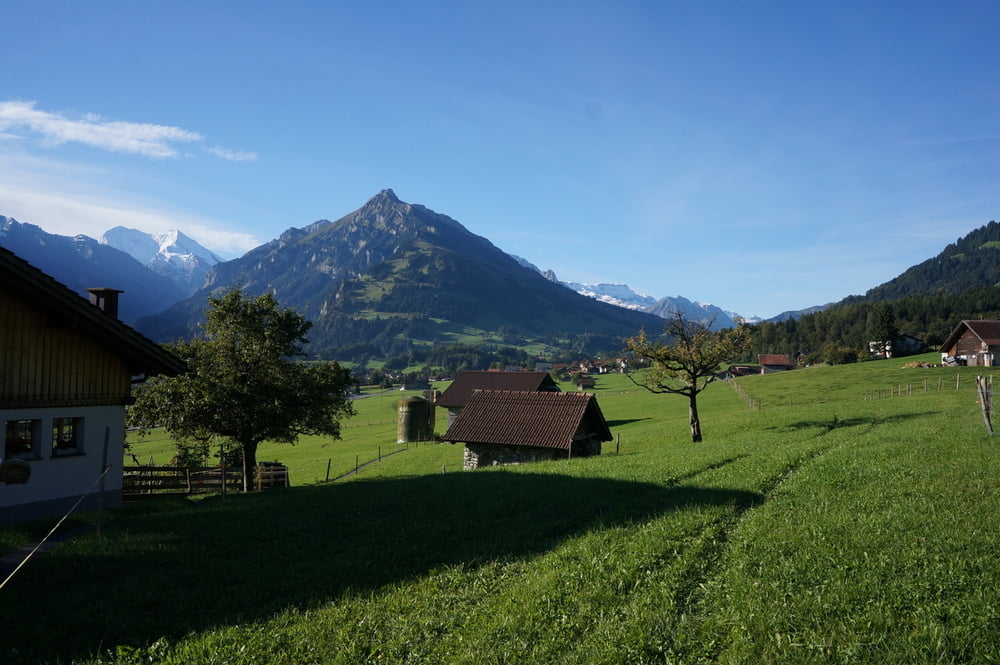 Bergtour: Frutigen - Niesen (Tour 137748)