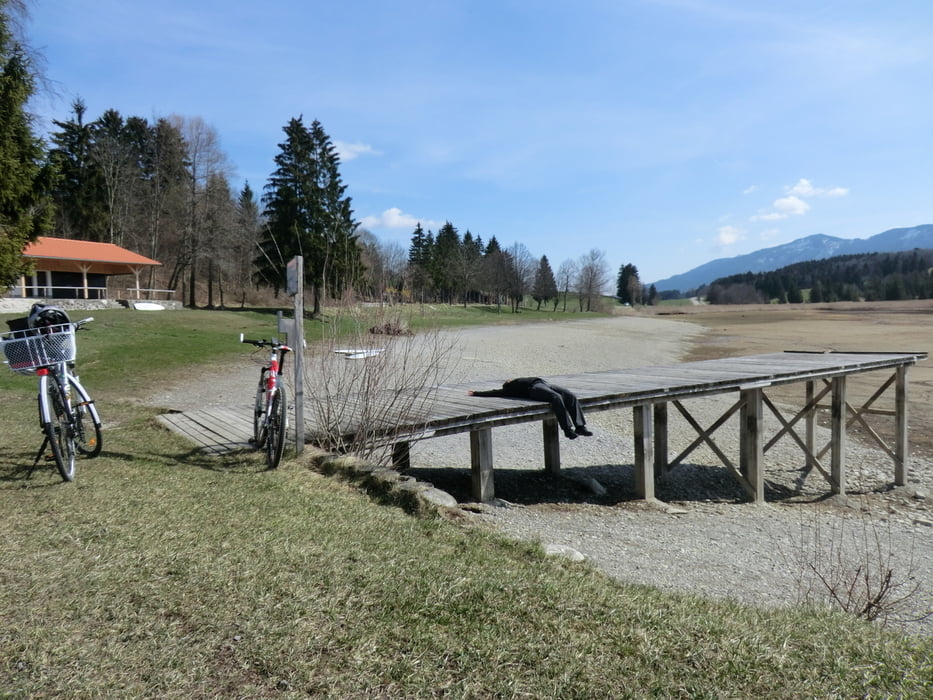 Trekkingbike: Rund um den Forggensee (Tour 109289)
