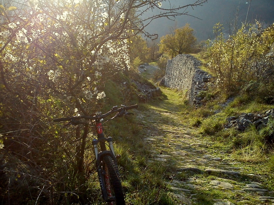 Mountainbike: Seravezza Azzano Minazzana Basati (Tour 113492)