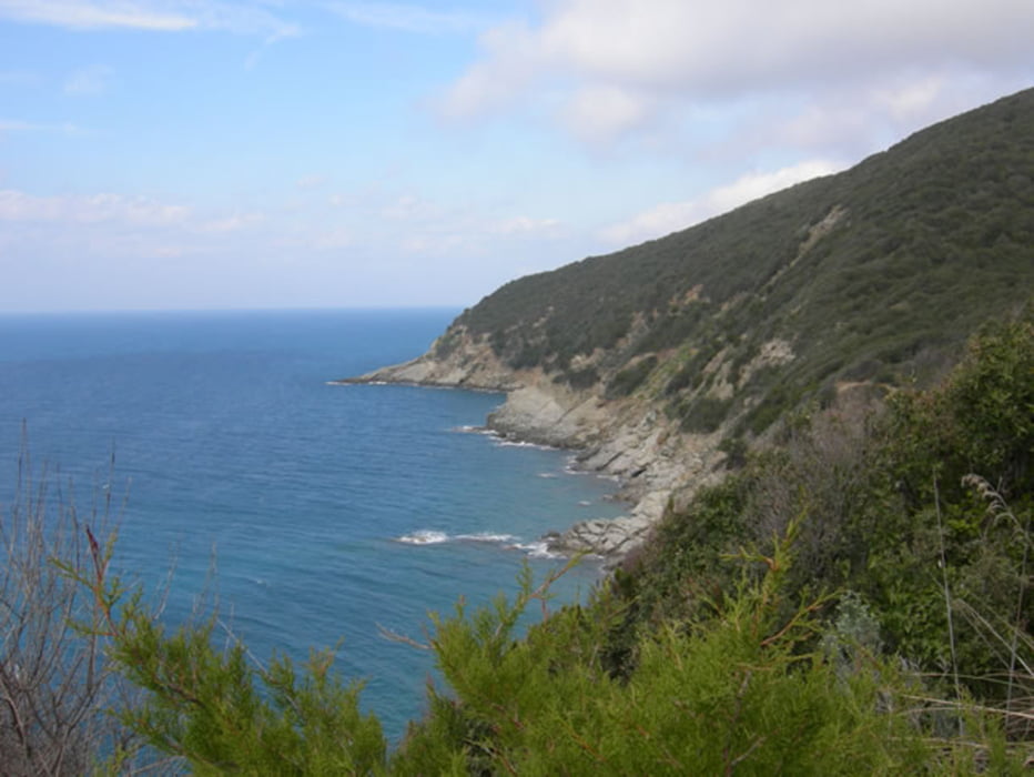 Mountainbike: Promontorio di piombino (Tour 141234)