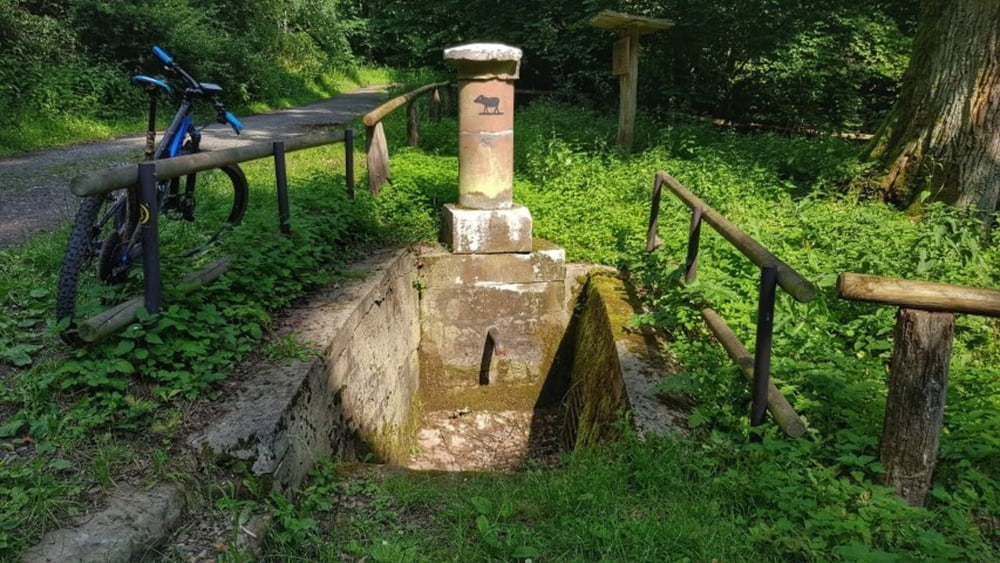 Mountainbike: Brunnen und Hütten (Tour 168497)