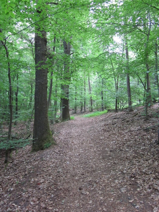 Wandern: Hasbergen - Hüggel Rundweg (Tour 101035)