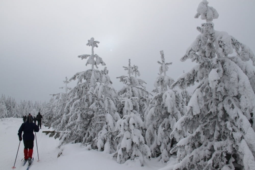 Skitour: Loipe Osterzgebirge (Tour 51166)