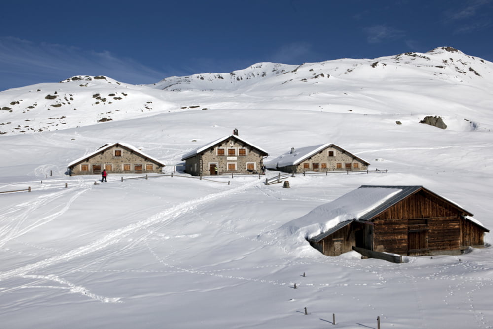 Mountainbike: Mot dal Hom - Alp Laret (Tour 87176)