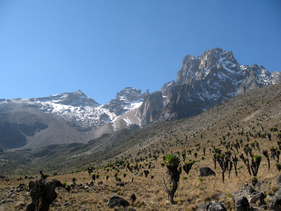 Bergtour: Mount Kenya / Point Lenana (Tour 39006)
