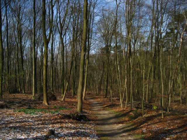 Wandern: Aaper Wald (Tour 13954)