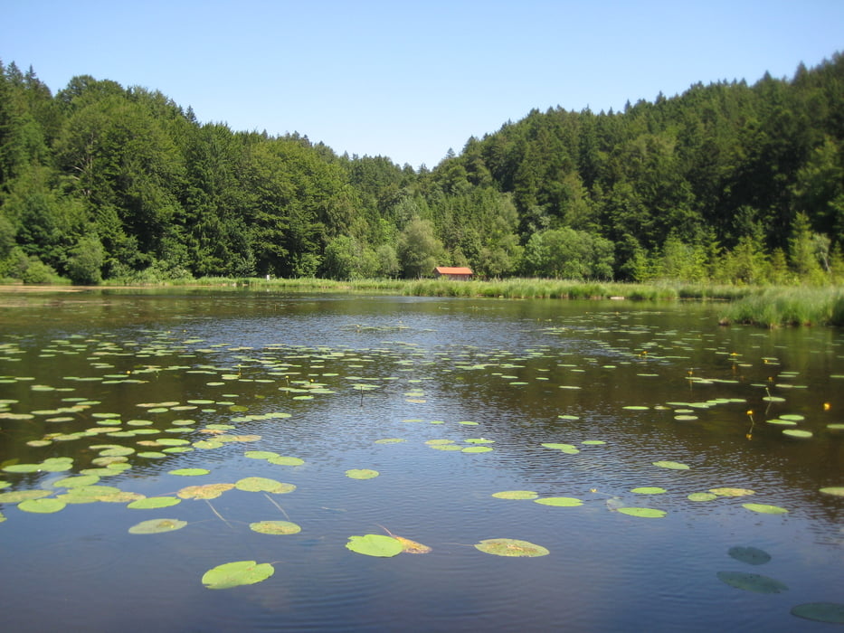 Mountainbike: Kirchsee - Hackensee - Waldweiher (Tour 43135)
