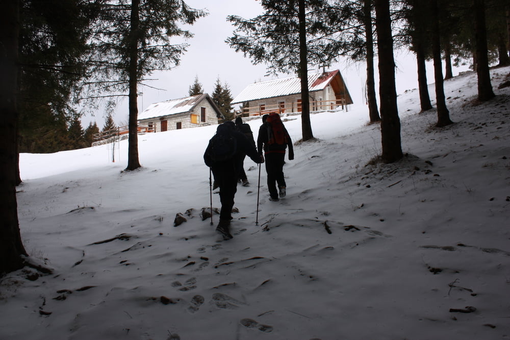 Wandern: Casera Ceresera (Tour 109546)