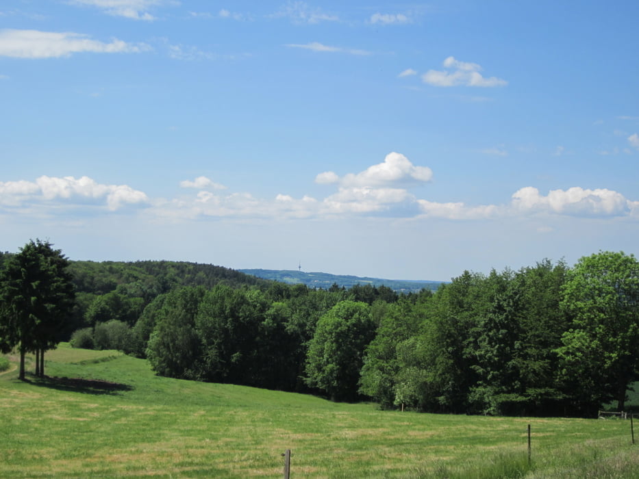 Wandern: Hasbergen - Hüggel Rundweg (Tour 101035)