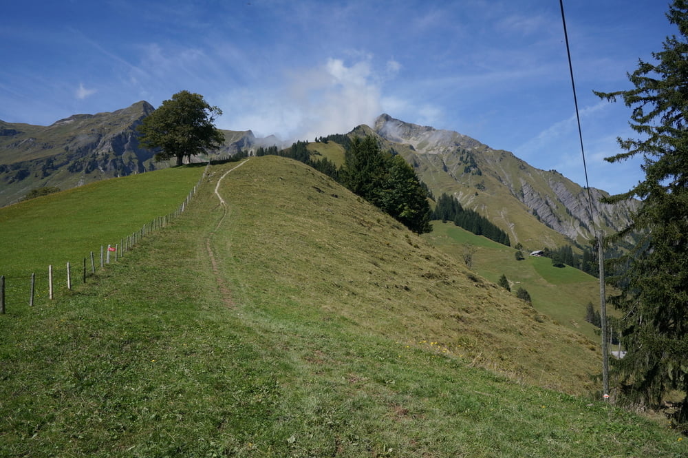 Bergtour: Frutigen - Niesen (Tour 137748)