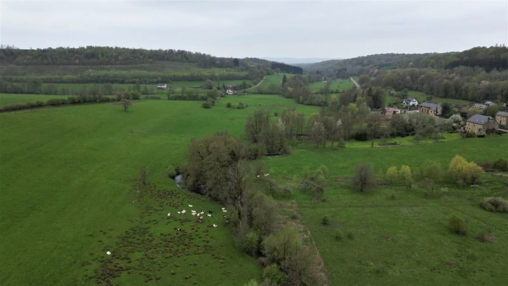Wandern: Wandelen in Muno (Tour 180879)