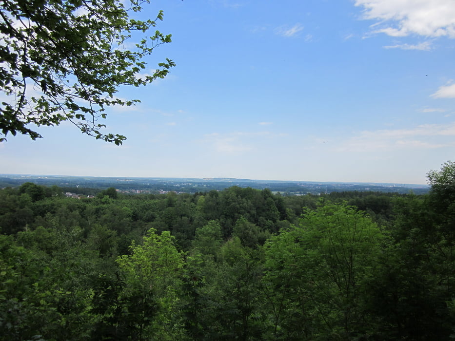 Wandern: Hasbergen - Hüggel Rundweg (Tour 101035)