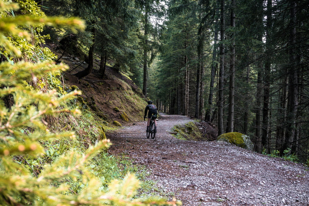 Fahrrad Touring: Alpine Gravel -Tonale (Tour 179785)