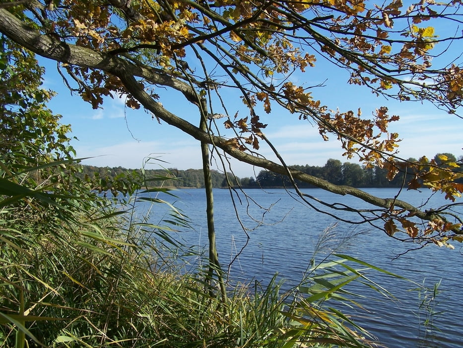 Fahrrad Touring: Lankwitz-Seddiner See-Potsdam-Lankwitz (Tour 70131)