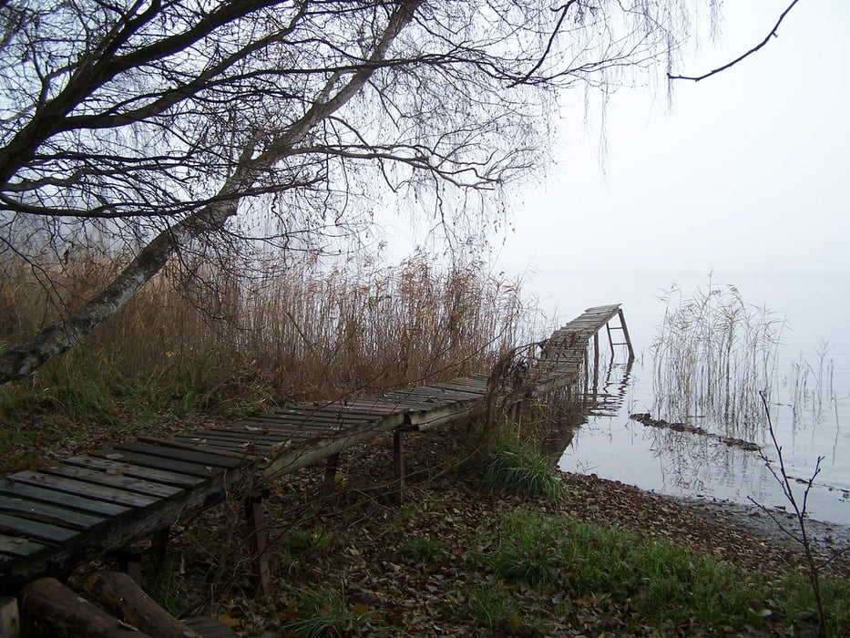 Wandern: Einmal um den Seddiner See herum (Tour 71255)