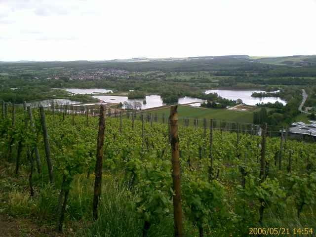 Wandern: Remerschen (Tour 3884)