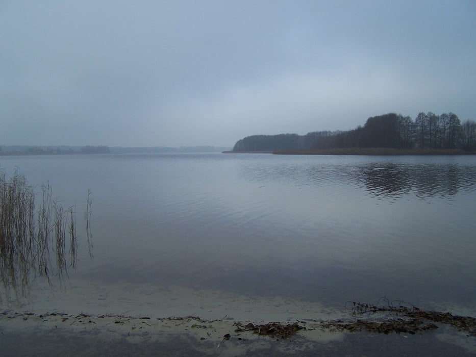 Wandern: Einmal um den Seddiner See herum (Tour 71255)